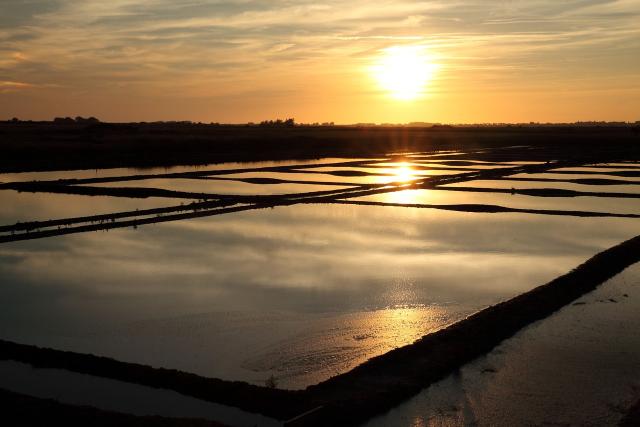 About Us – Salt Crop